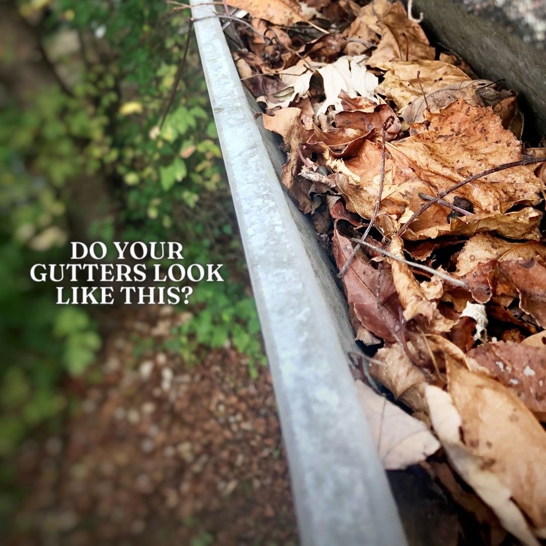 Why Gutters Matter: Protecting Your Home’s Foundation